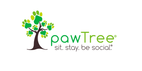 About Us|GoldStar Puppies |Expert Welsh Corgi Puppy Breeders